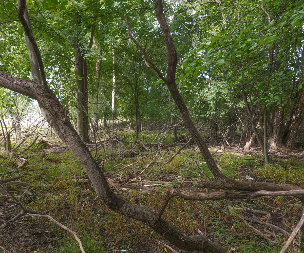 Reform vs Abolition Poster – ForEveryoneCo